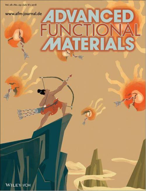 ADVANCED FUNCTIONAL MATERIALS_百度百科