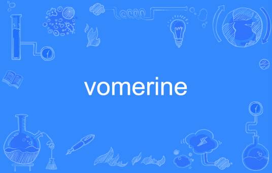 vomerine_百度百科