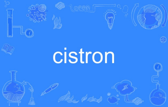 cistron_百度百科