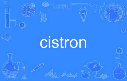 cistron_百度百科