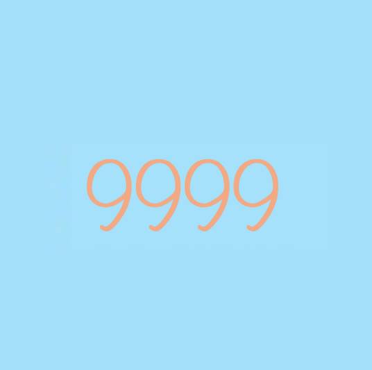 9999_百度百科
