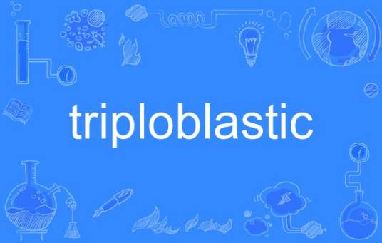 triploblastic_百度百科