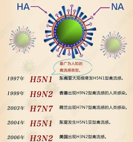 H9N2型禽流感_百度百科
