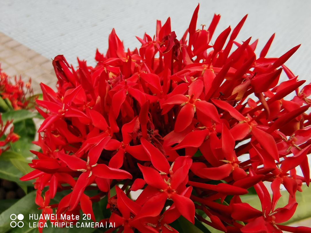 华为Mate 20 AI拍照评测：麒麟980带你看更美的世界_百科TA说