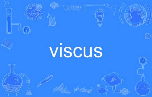 viscus_百度百科