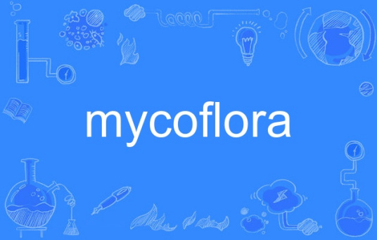 mycoflora_百度百科
