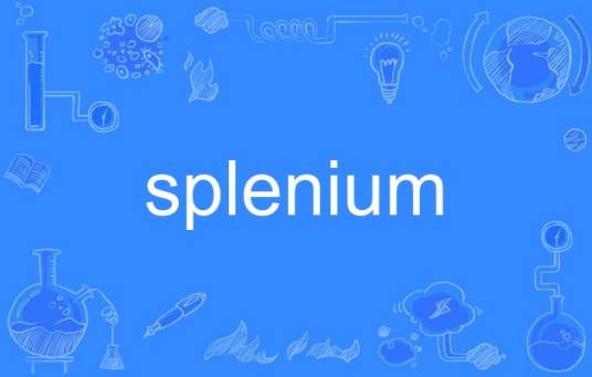 splenium_百度百科