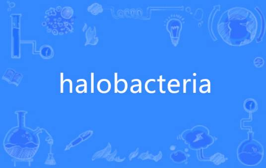 halobacteria_百度百科