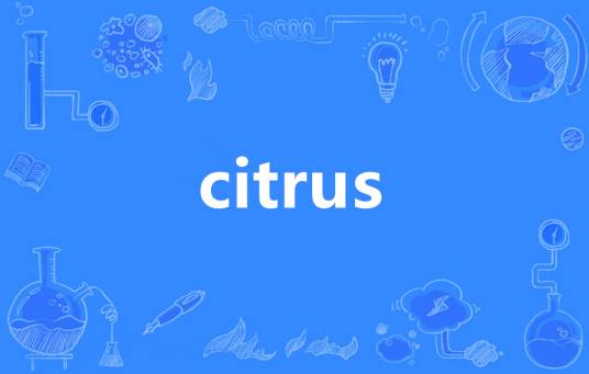 citrus（英语单词）_百度百科