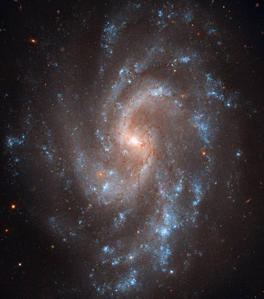 NGC 5584_百度百科