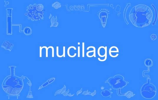 mucilage_百度百科