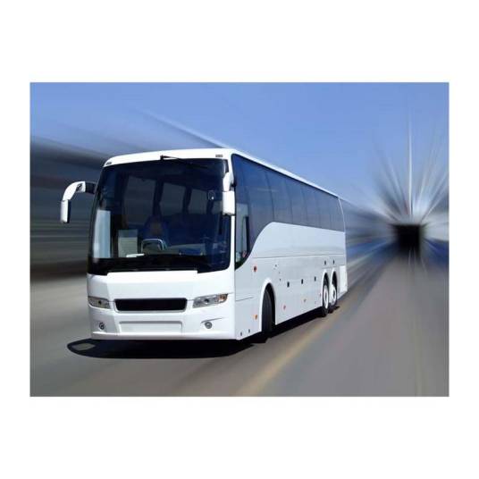 BUS（英语单词）_百度百科