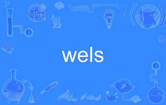 wels_百度百科