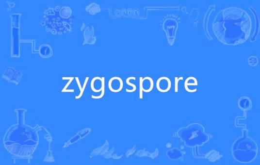 zygospore（英语单词）_百度百科