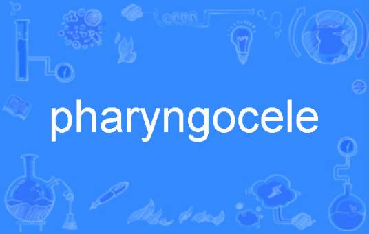 pharyngocele_百度百科