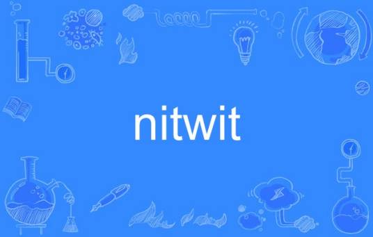 nitwit_百度百科