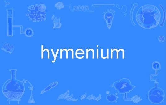 hymenium_百度百科