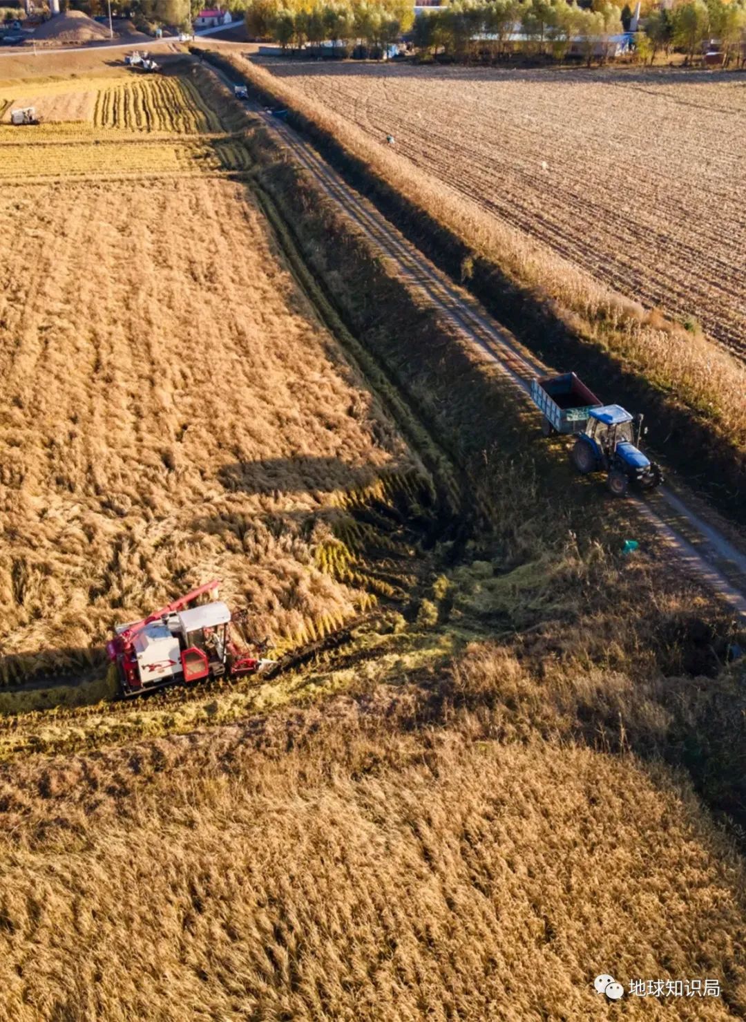 东北，喂饱中国！| 地球知识局_百科TA说