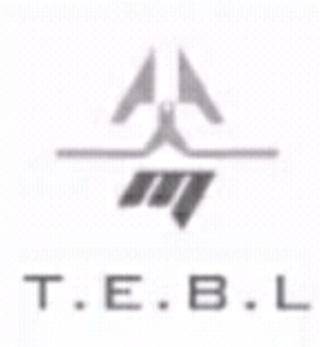 TEBL末世战线_百度百科