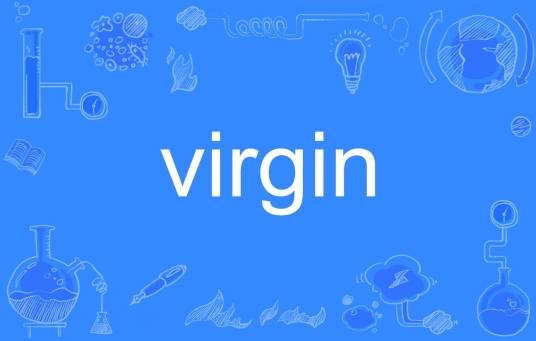 Virgin（英文单词）_百度百科