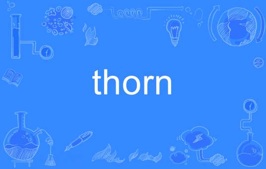 thorn（英语单词）_百度百科