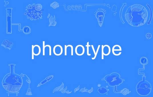phonotype_百度百科
