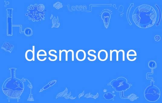 desmosome_百度百科