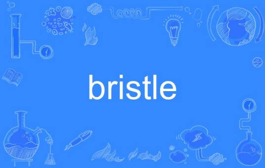 bristle（英语单词）_百度百科