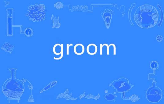 groom_百度百科