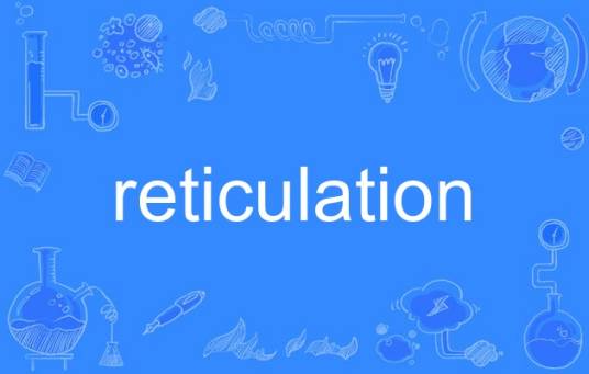 reticulation_百度百科