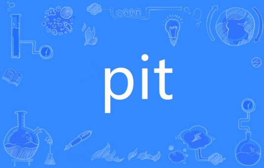 PIT（英语单词）_百度百科