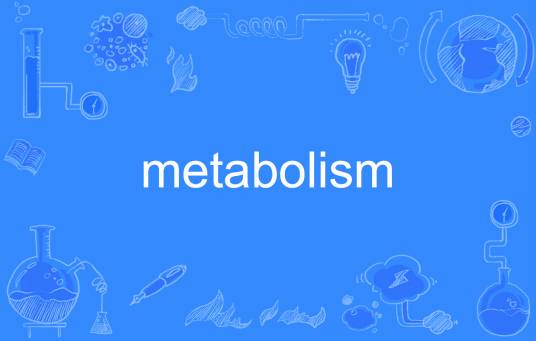 metabolism（英文单词）_百度百科