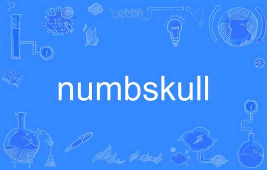 numbskull_百度百科
