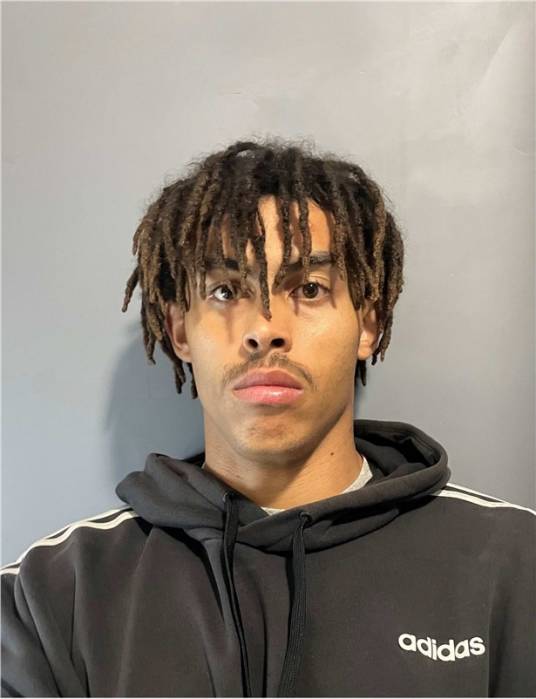 HOLDER Reece nathaniel_百度百科