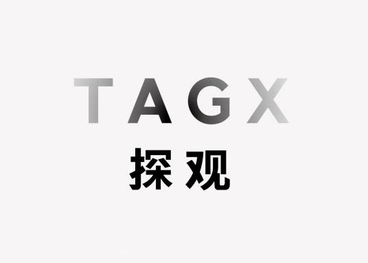 TAGX_百度百科