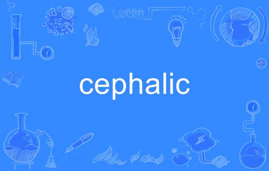 cephalic_百度百科