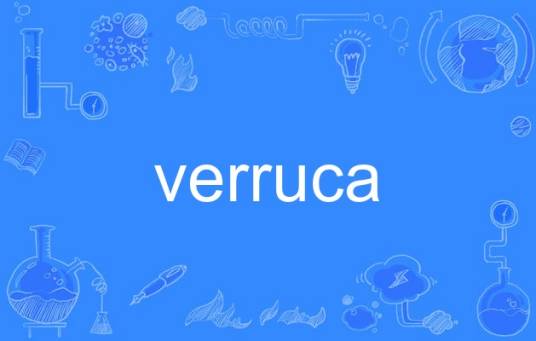 verruca_百度百科