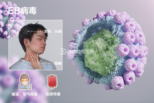 EB病毒_百度百科