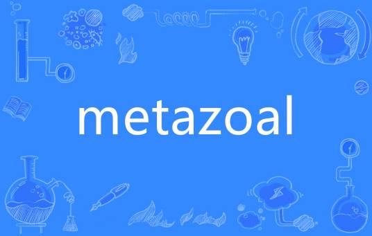 metazoal_百度百科