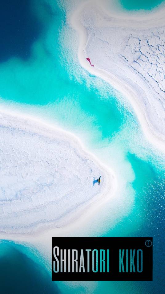 Shiratori kiko_百度百科