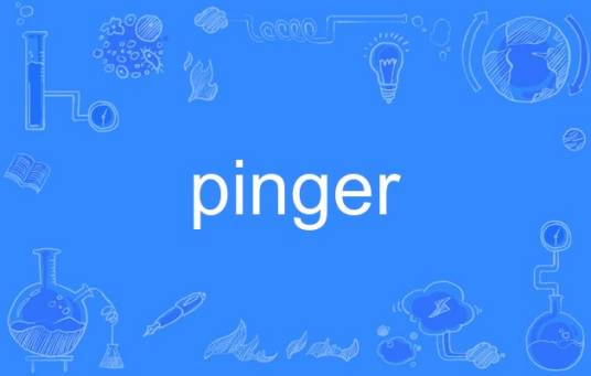 pinger（英语单词）_百度百科