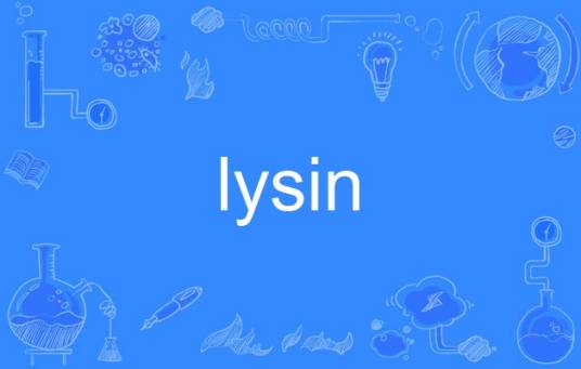lysin_百度百科