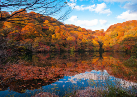 白神山地_百度百科