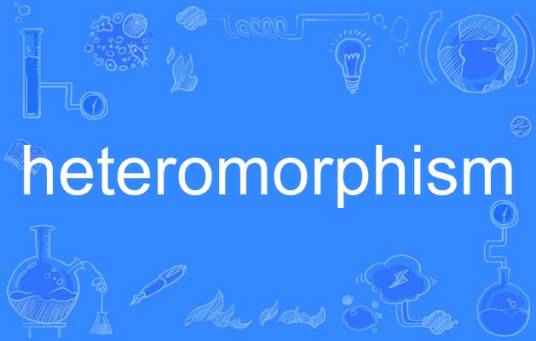 heteromorphism（英语单词）_百度百科