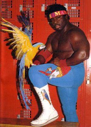 James Ware_百度百科