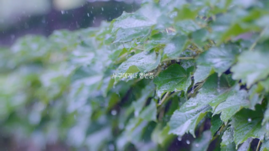 summer rain（Summer Rain （GFRIEND演唱歌曲））_百度百科