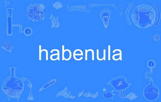habenula_百度百科