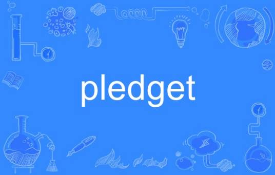 pledget_百度百科