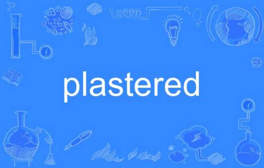 plastered_百度百科