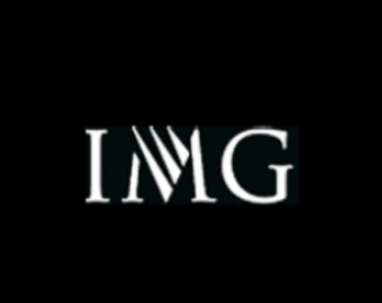 IMG集团_百度百科